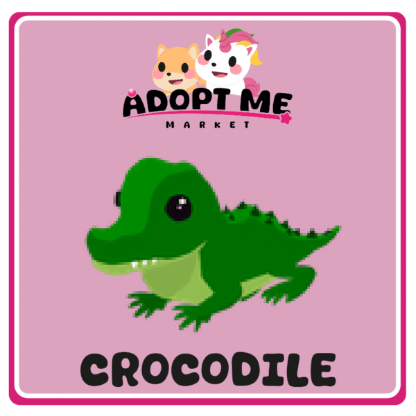 Buy Parrot – Fast Delivery & Best Price | Adopt Me Market